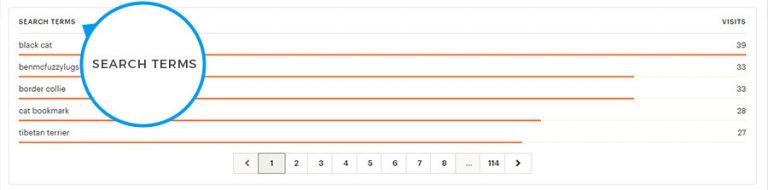 Improve Your Tags Using Etsy Stats - eRank Help